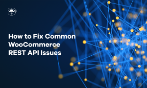 How to Fix Common WooCommerce REST API Issues - Robot Ninja